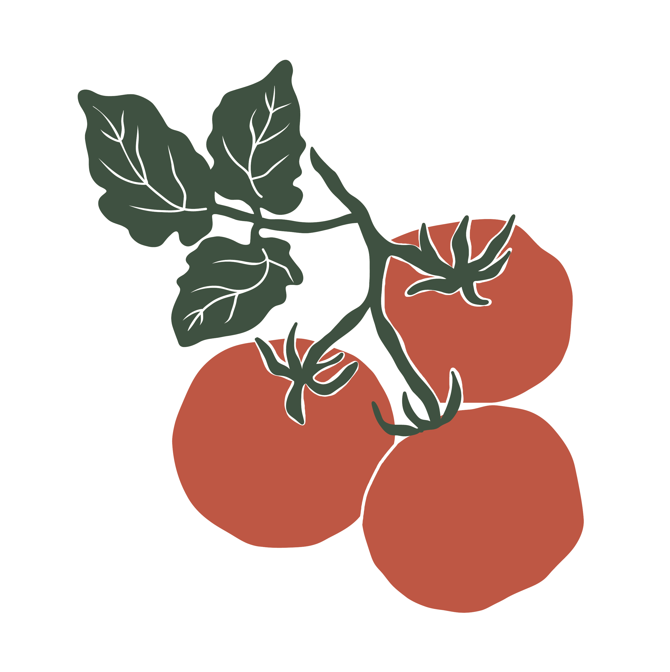 Corn Pest Management Guidelines | Vegetable Research and Information Center